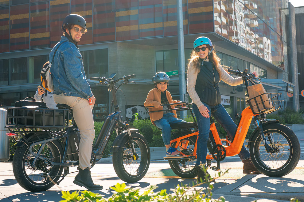 HAOQI Camel Electric Cargo Bike - Latest SUV Ebike – Radmotousa